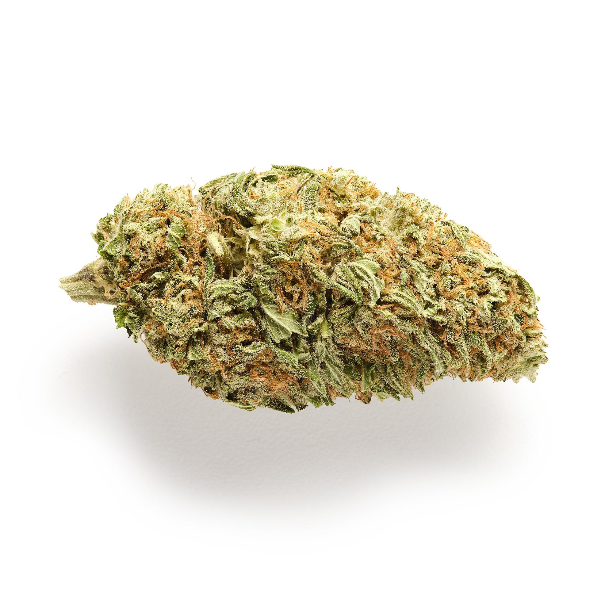 White Whale - CBD Flower - USA Greenhouse – budbros UK